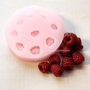 3D Raspberry Mold. 9 Cavity Raspberries Mold. Fruits Molds. Berries ...