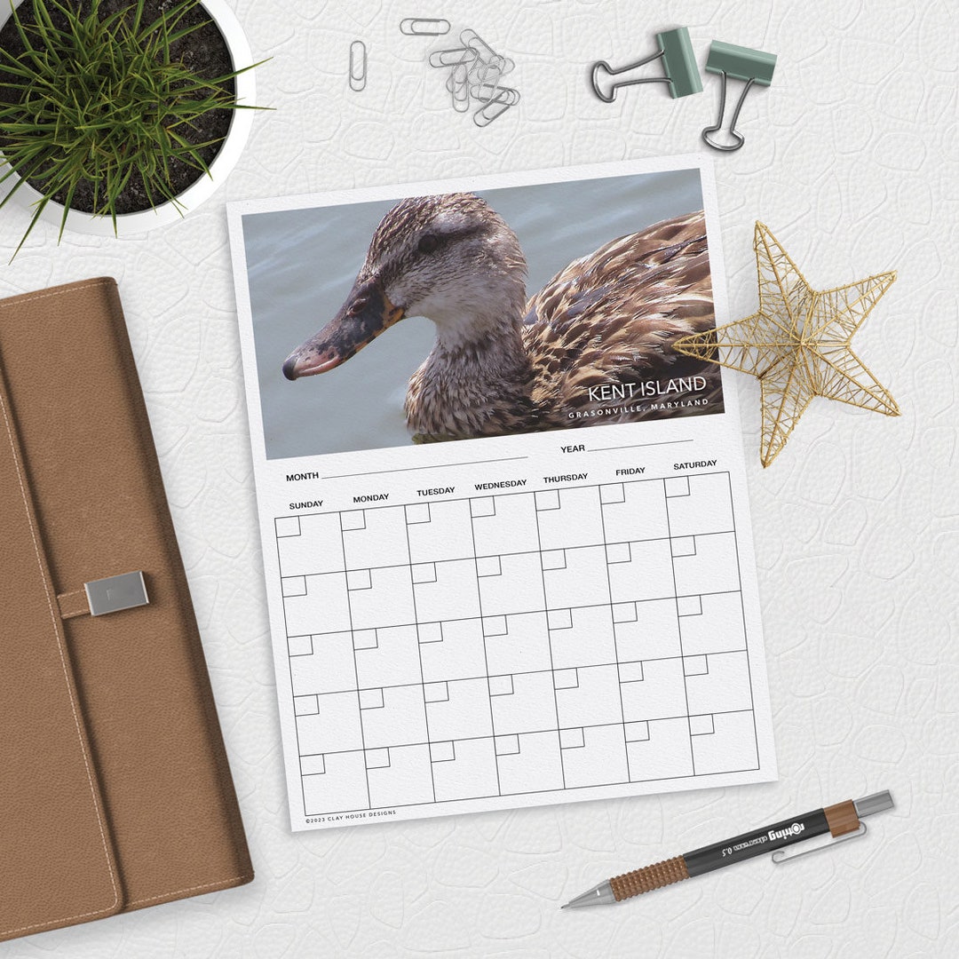 Duck Swimming Collection, Reusable Desk 12 Month 2024 Calendar, Instant ...
