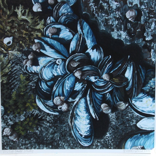 Mussel Shell Art - Etsy Canada