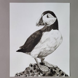 Atlantic Puffin - Original Pen and Ink Drawing - Art for Your Walls ...