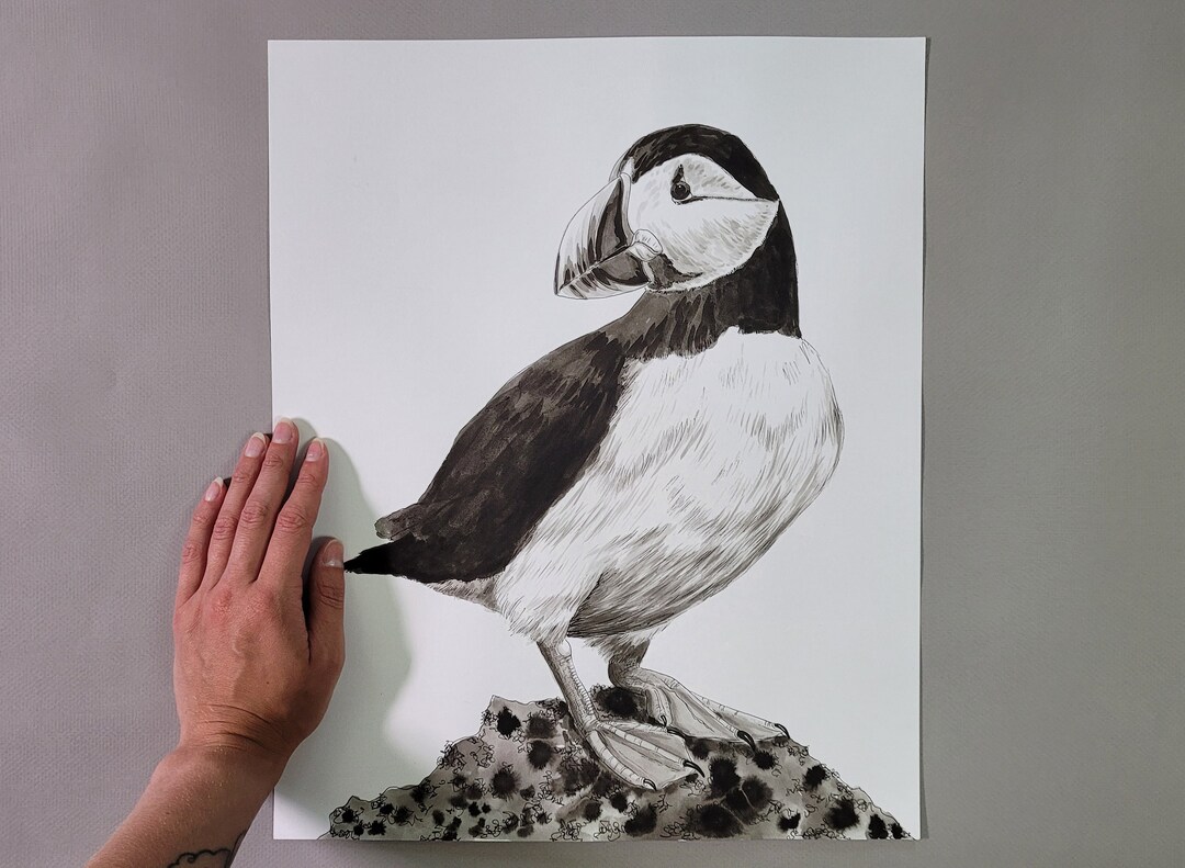 Atlantic Puffin - Original Pen and Ink Drawing - Art for Your Walls ...