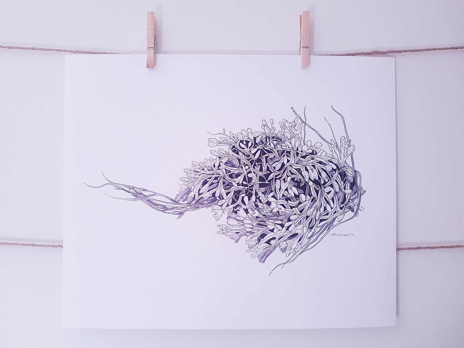 Seaweed Ink Line Drawing Art Print Wall Art Coastal Home - Etsy