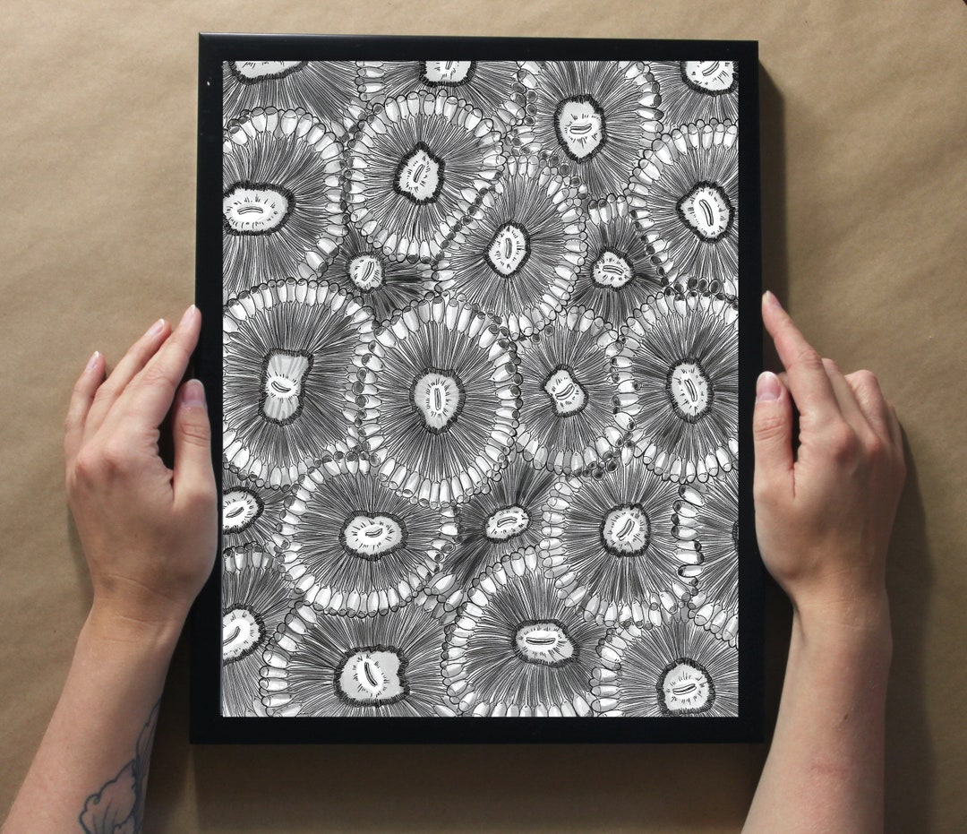 Coral Polyps - Ink Line Drawing - Art Print, Wall Art, Coastal Home ...