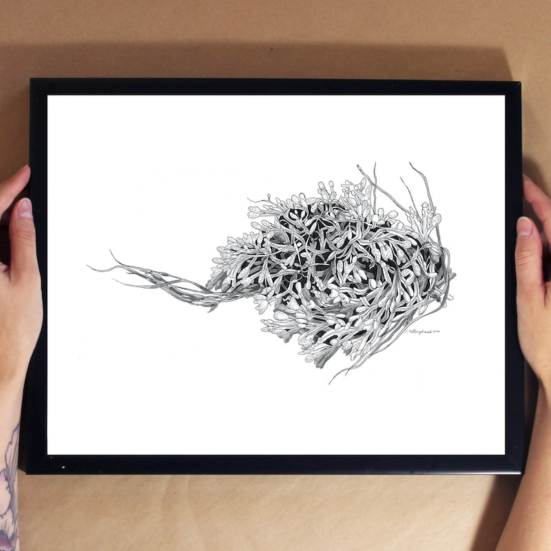 EHollingsheadArtwork - Etsy Canada