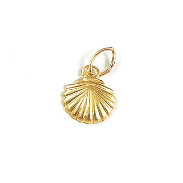 Gold Filled Shell - Etsy