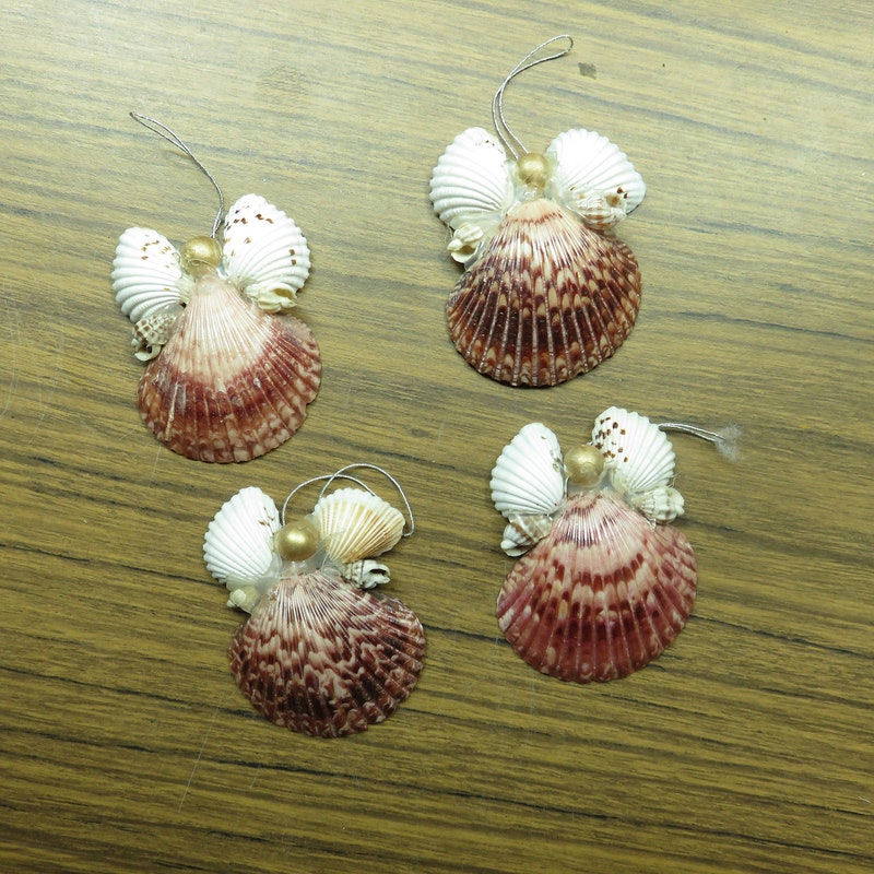 Shell Angel - Etsy