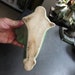 Vintage Cameron Clay Green Cornucopia Vase - Etsy