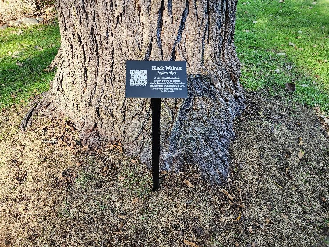 QR Code Plant Marker Tag, Metal Plaque for Outdoor, Plant ID ...