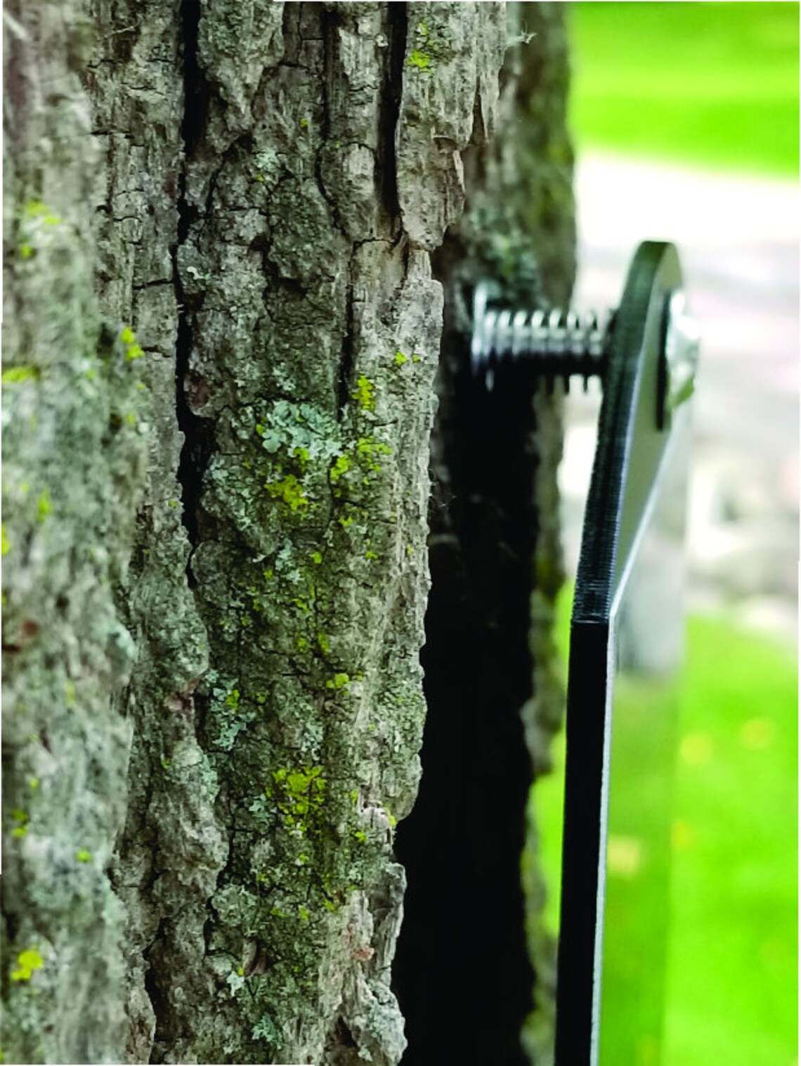 Personalized Tree Tag for a Large Tree Big Tree Plaque - Etsy