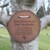 Personalized Tree Tag for a Large Tree, Big Tree Plaque, Memorial Tree ...
