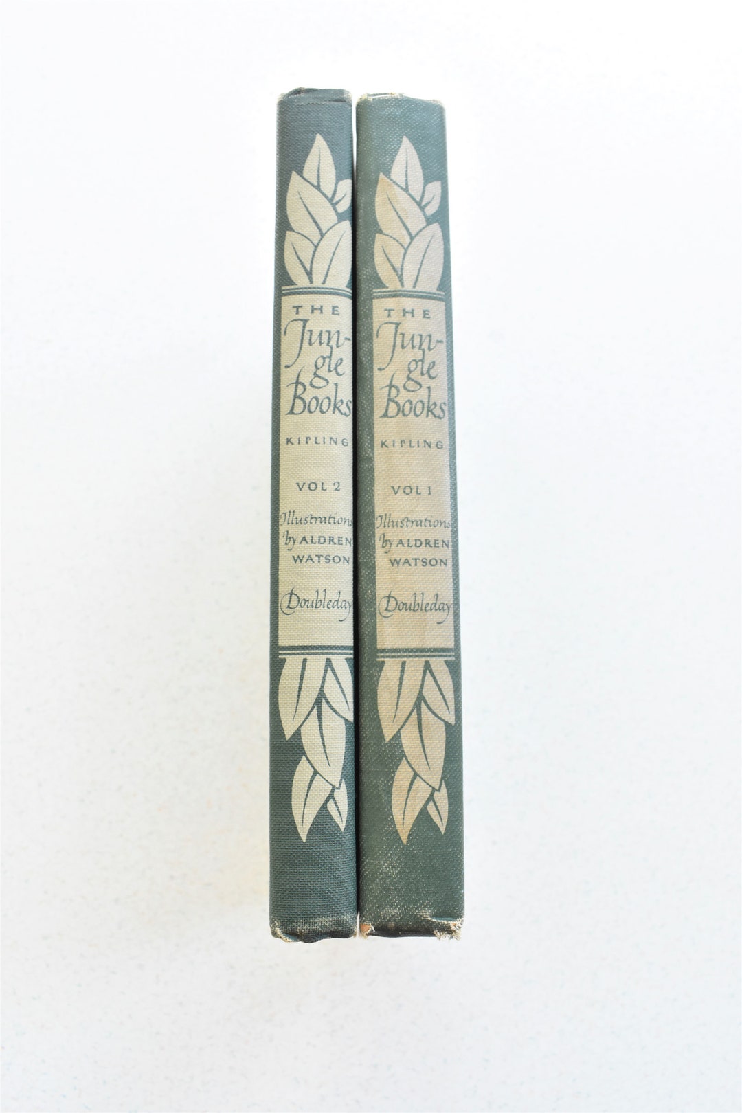 The Jungle Books Volume 1 & 2 Rudyard Kipling Illustrated Hardcover ...
