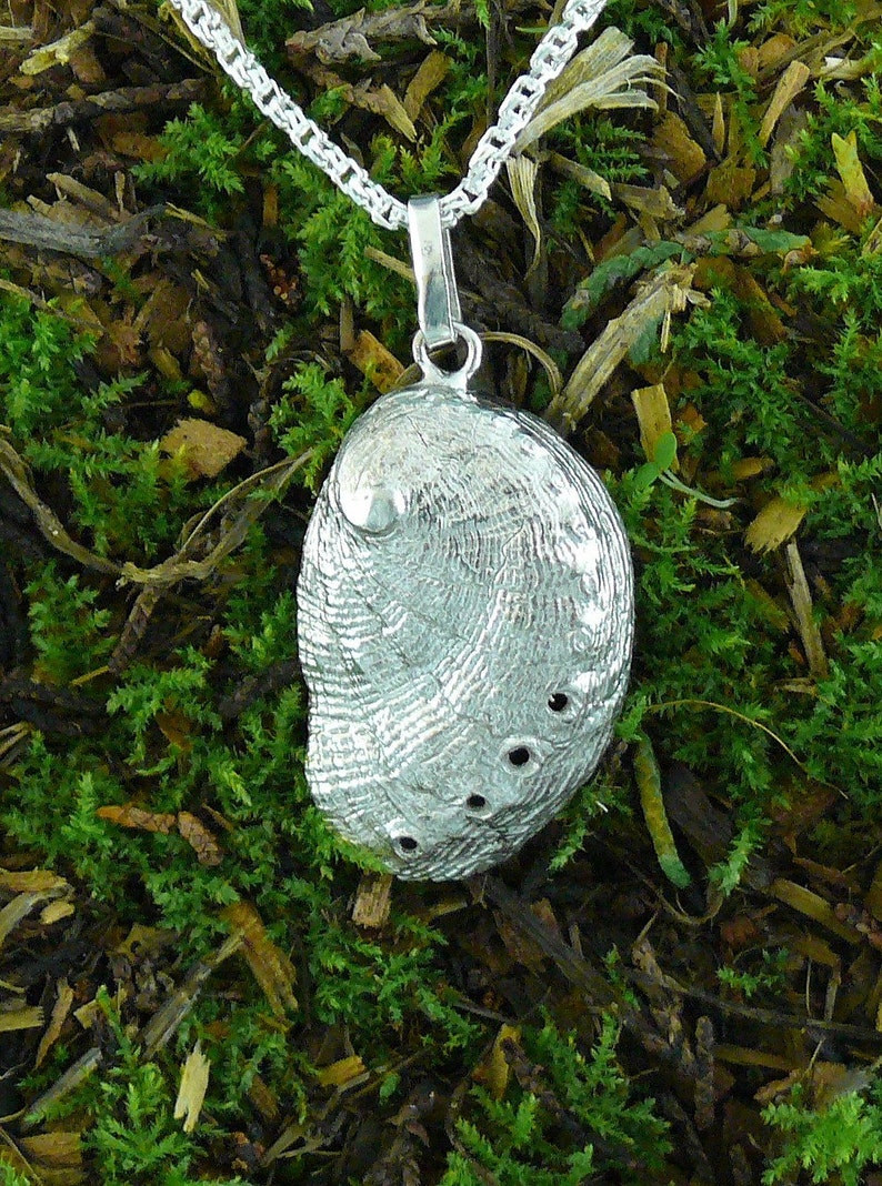 Abalone Shell Pendant Sterling Silver - Etsy
