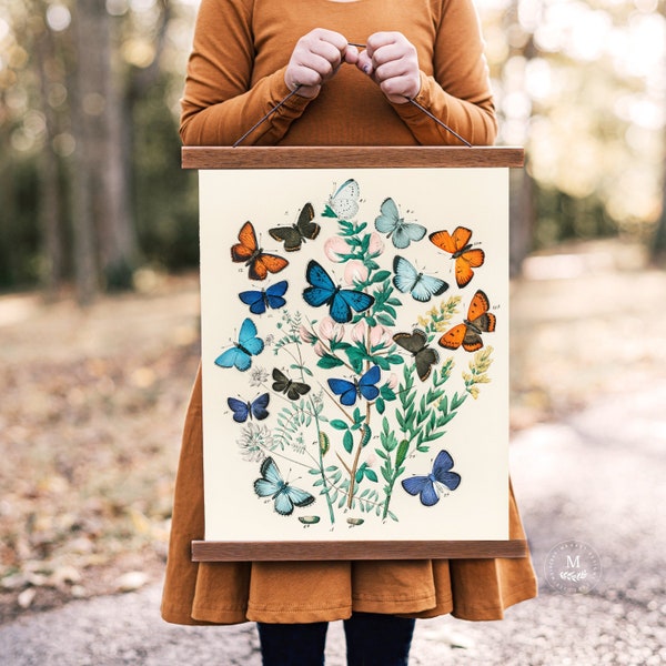 Butterfly Scroll - Etsy