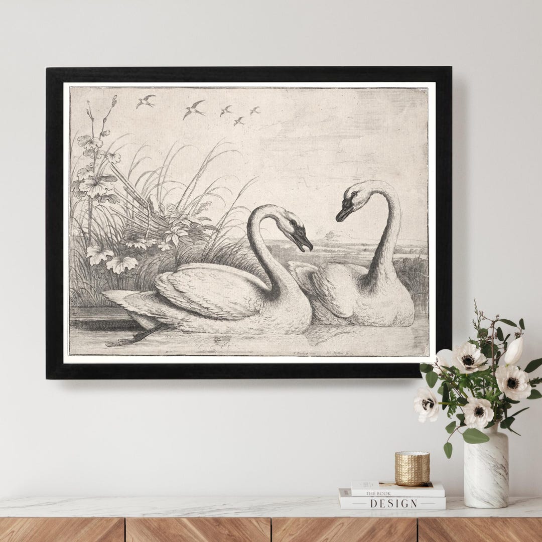 Sunset Swans Modern Wall Art, Wood Framed Art, Animal Art, Swans - Etsy