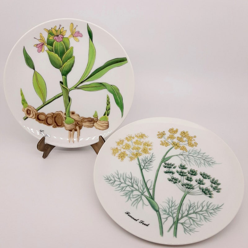 Botanical Plates - Etsy