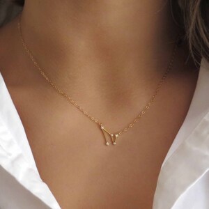 Gold Capricorn Necklace Gold, Capricorn Zodiac Necklace 14k Gold Filled ...