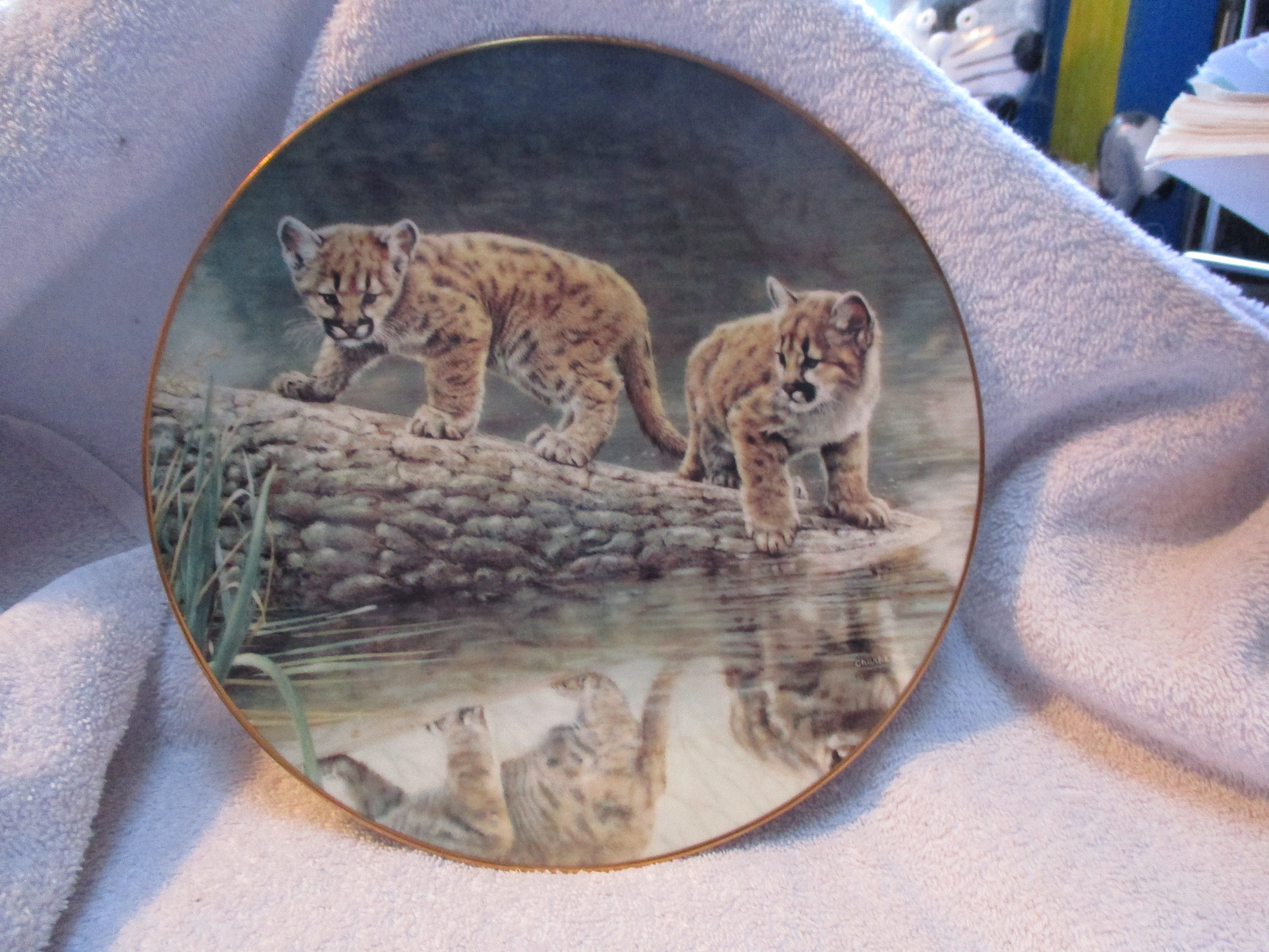 Wild Innocents REFLECTIONS Charles Frace Collectors Plate - Etsy