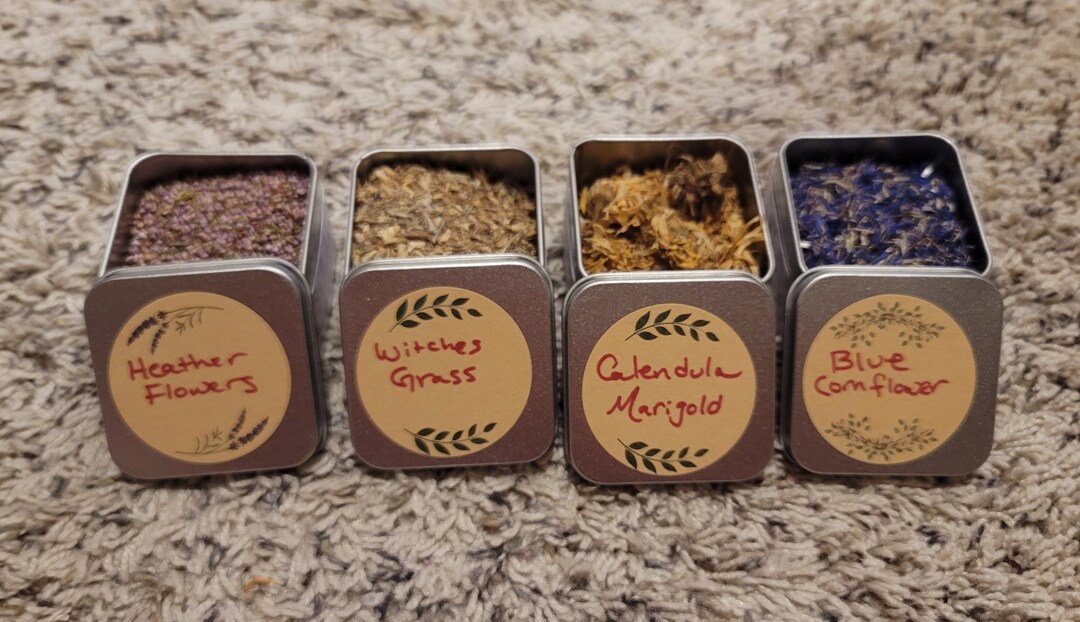 Witch Herb Set - Mini Tins Basic Herbs for Beginner Witches - Etsy