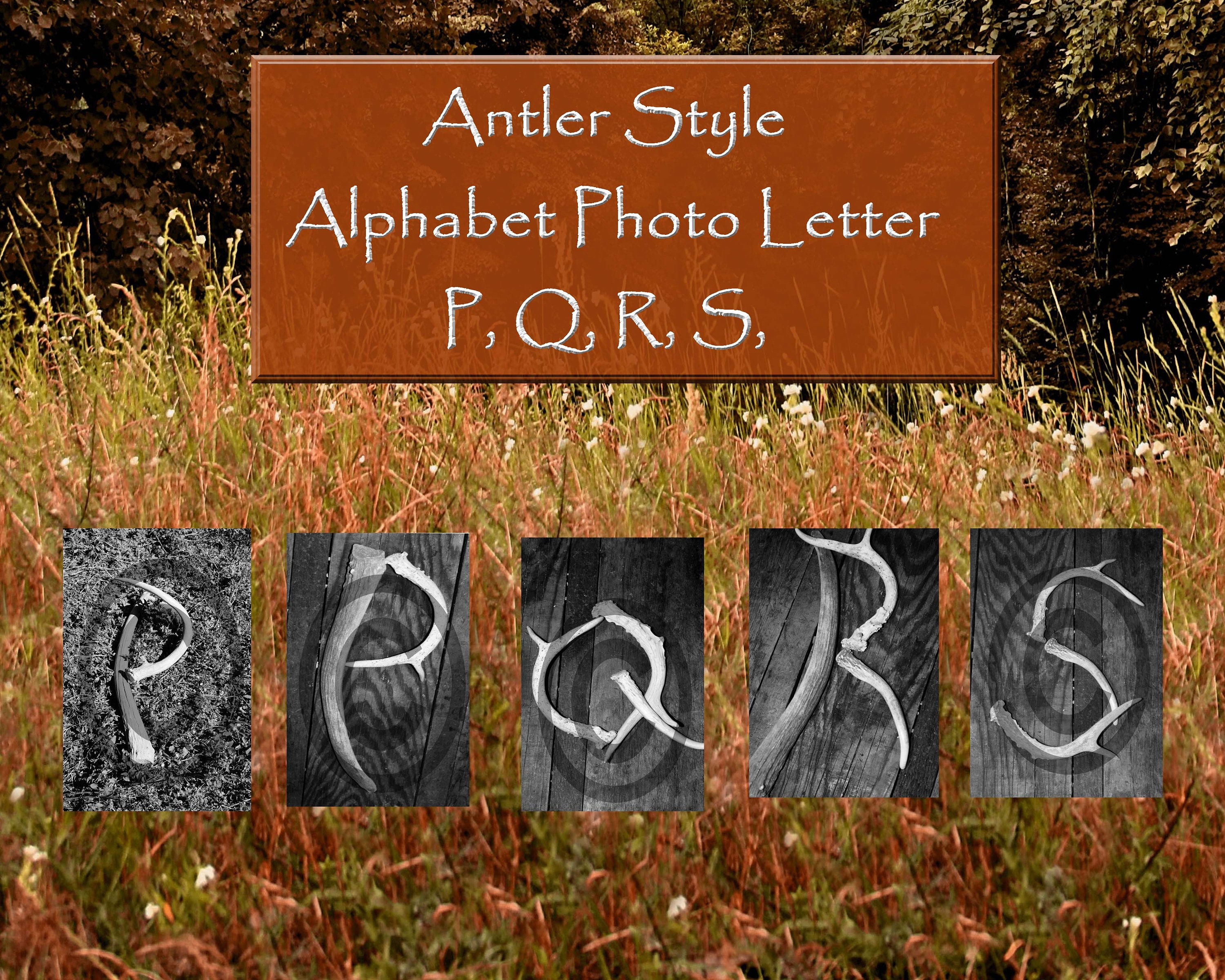 Antler Alphabet Art Letter Digital Download - Etsy