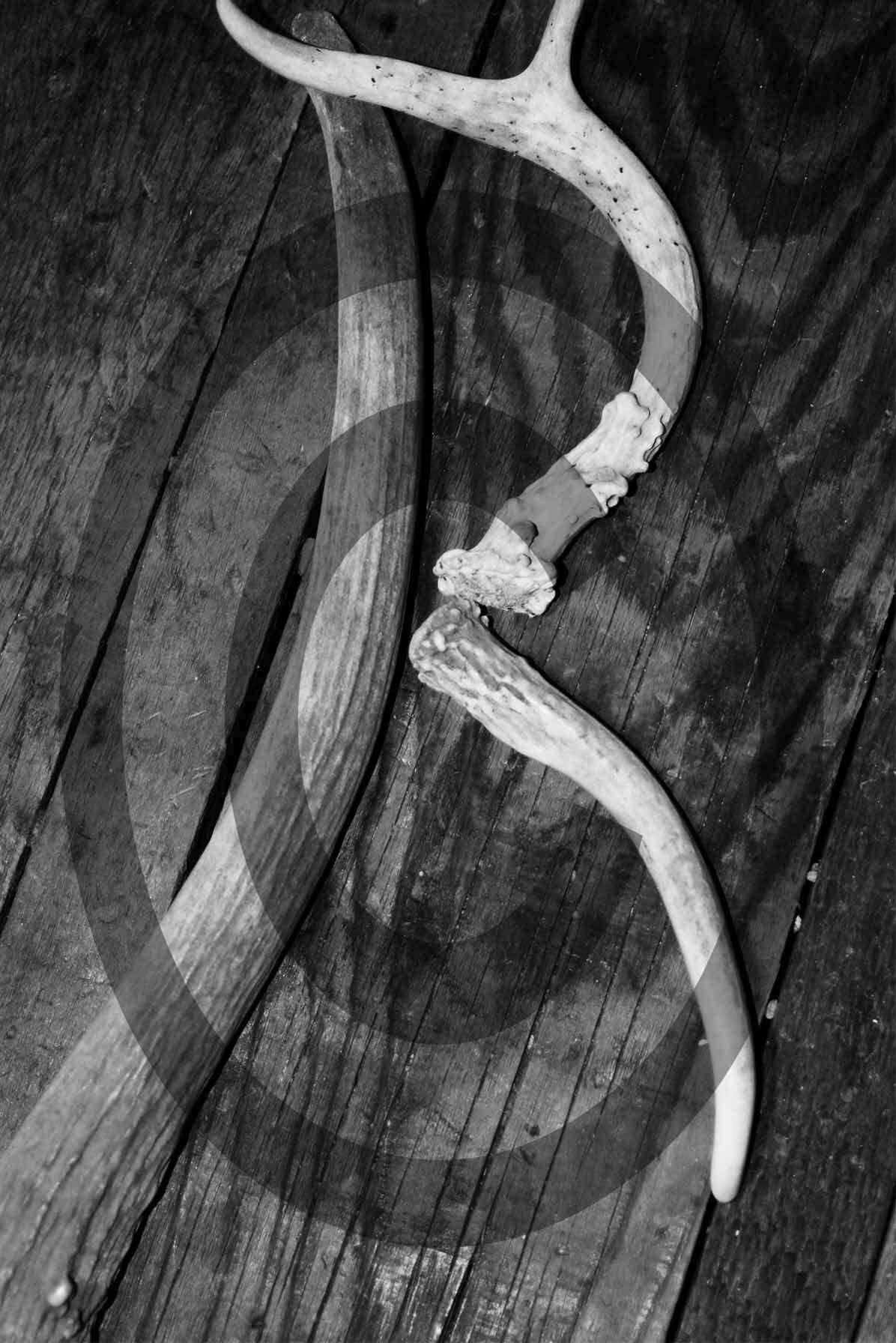 Antler Alphabet Art Letter Digital Download - Etsy