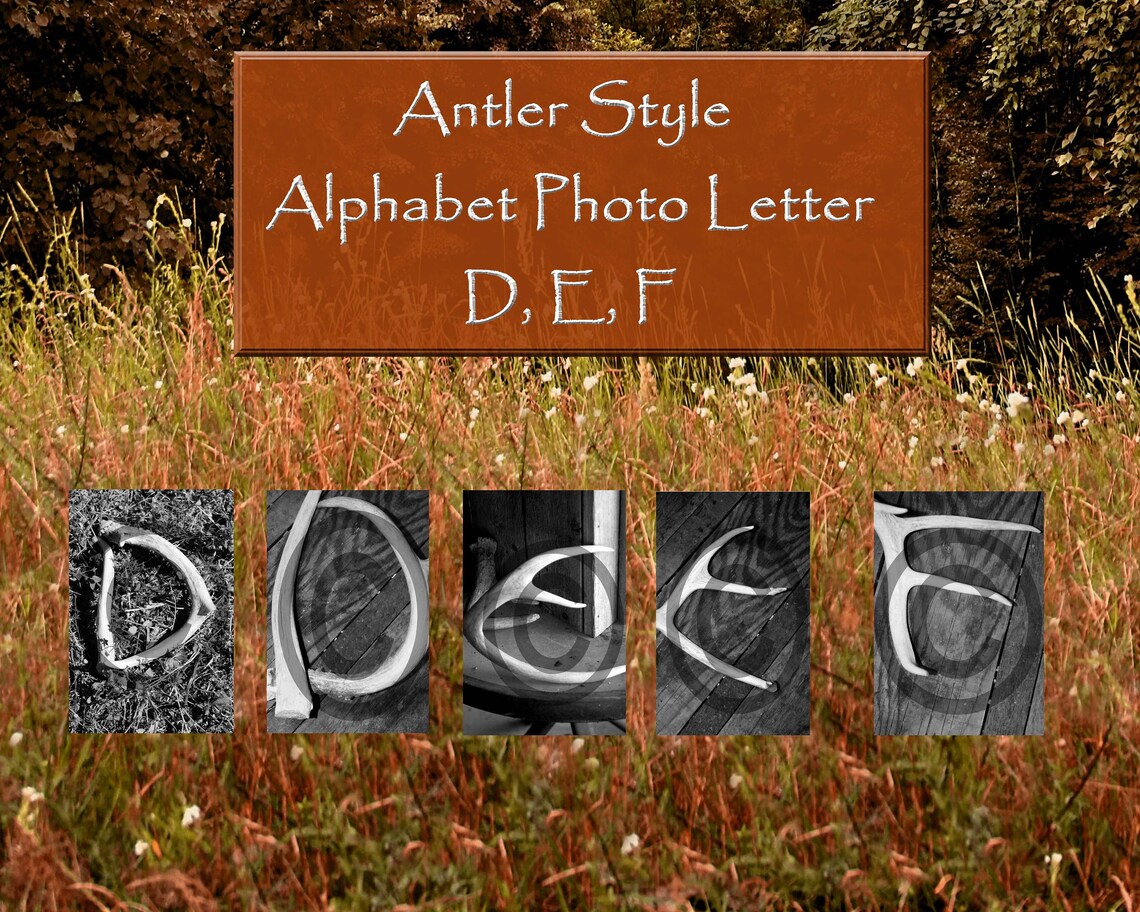 Antler Alphabet Art Letter Digital Download - Etsy