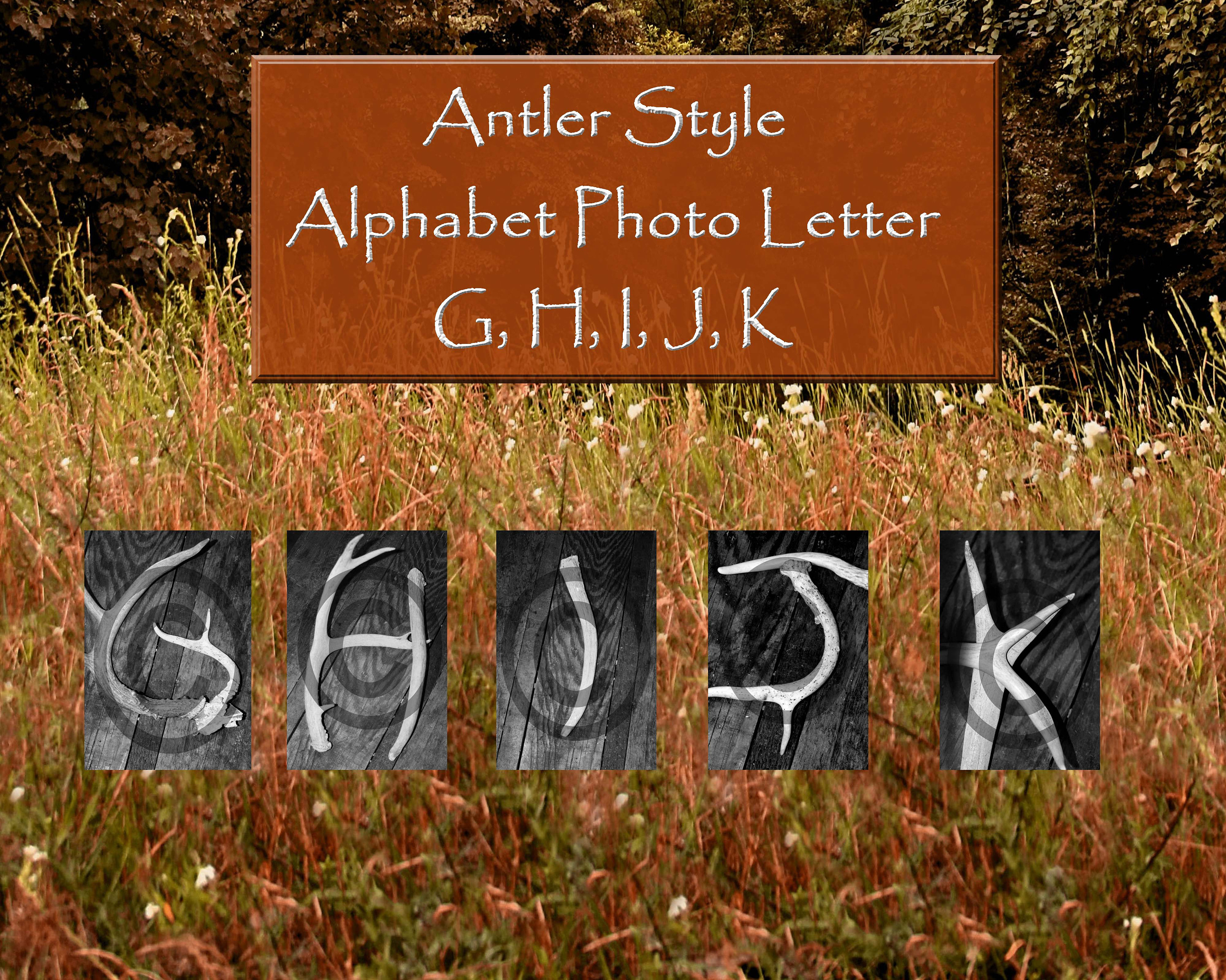 Antler Alphabet Art Letter Digital Download - Etsy