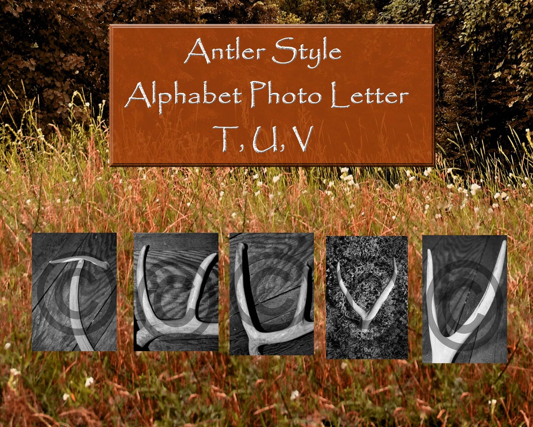 Antler Alphabet Art Letter Digital Download - Etsy