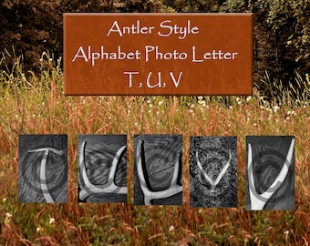 Antler Alphabet Art Letter Digital Download | Etsy