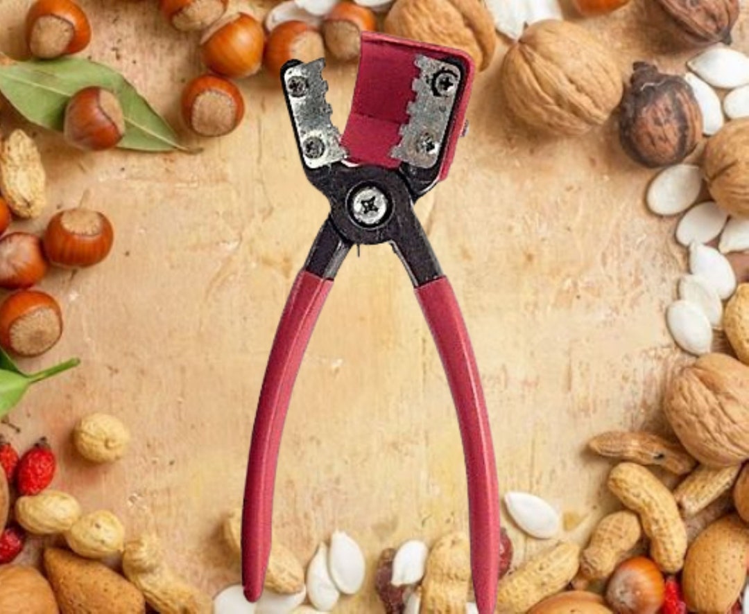 Nut Cracker Texan York Nut Sheller Almond Pecan Walnut Seafood Cracker ...