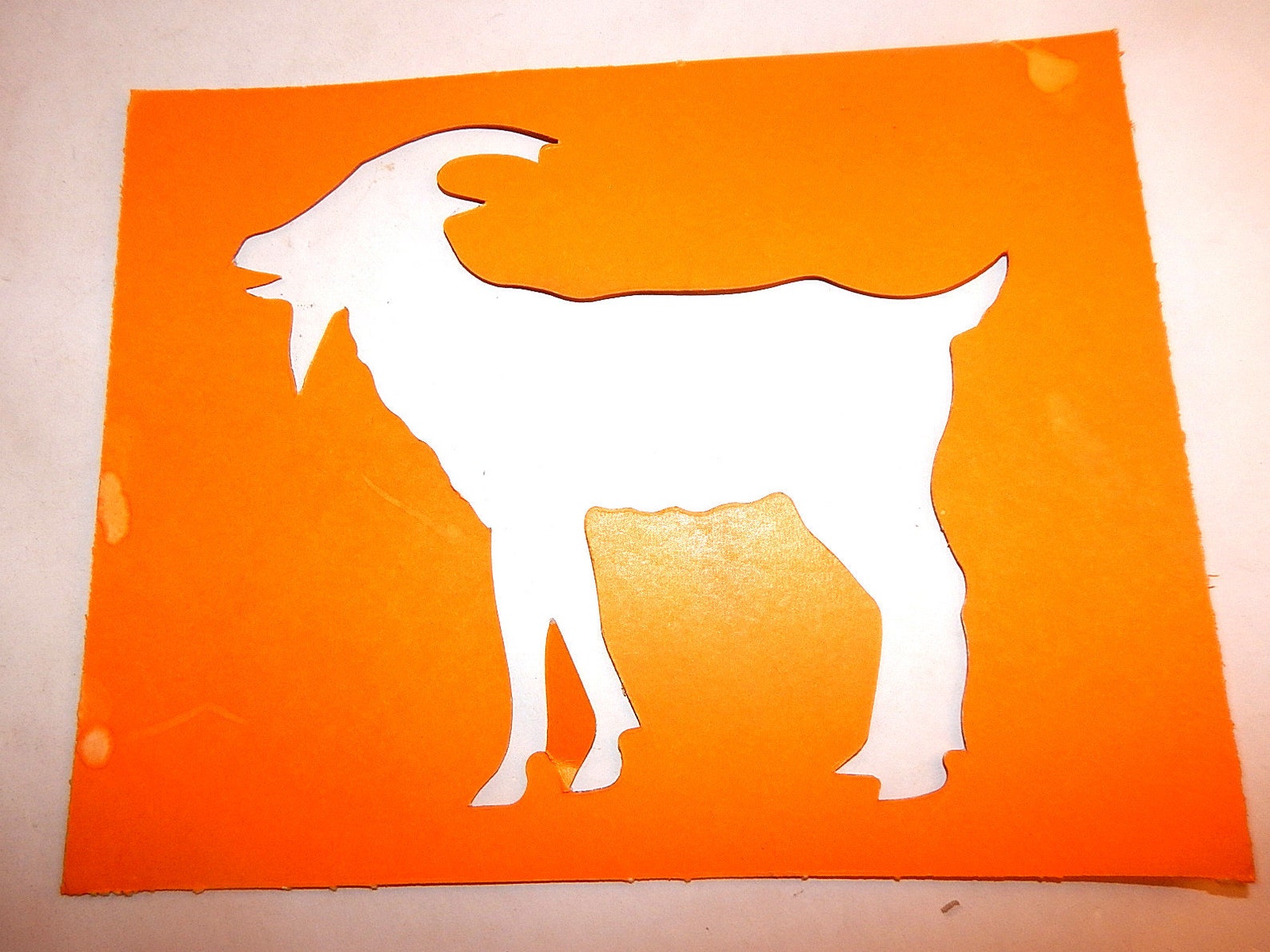 Animal Stencils 19 Piece Wild Domestic and Bird Stencil Set - Etsy