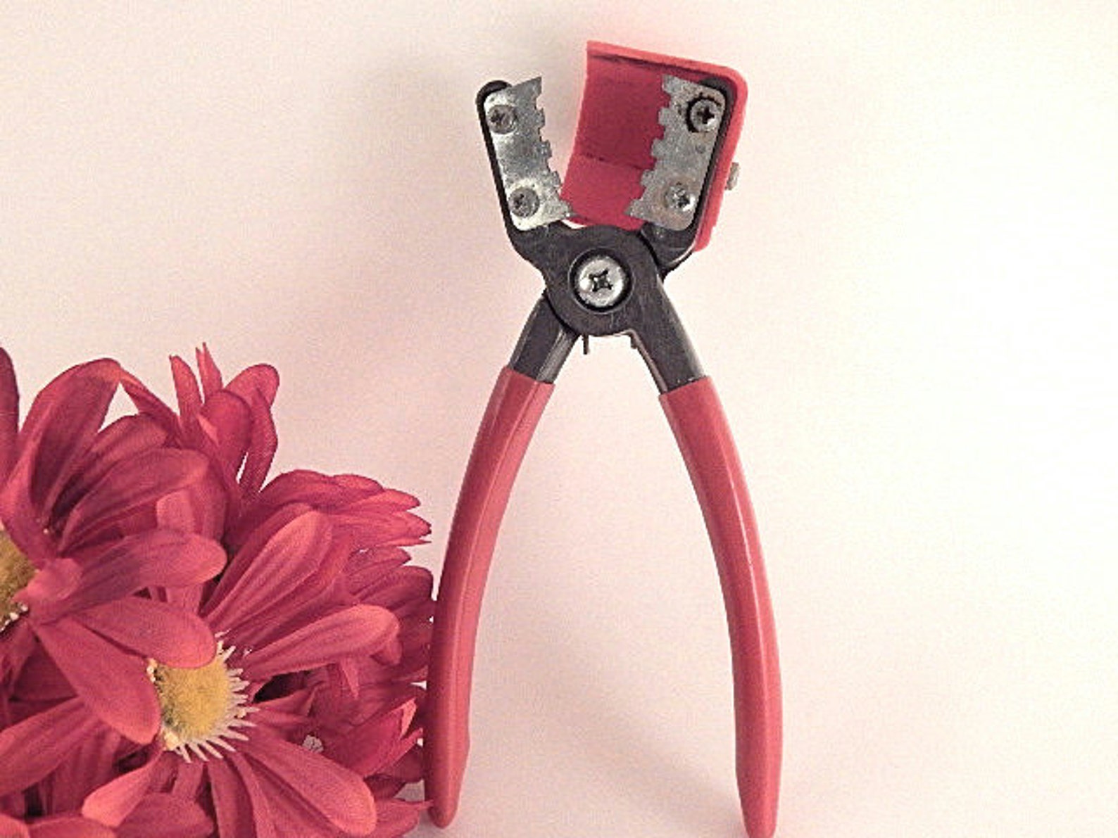 Nut Cracker Texan York Nut Sheller Almond Pecan Walnut Seafood - Etsy