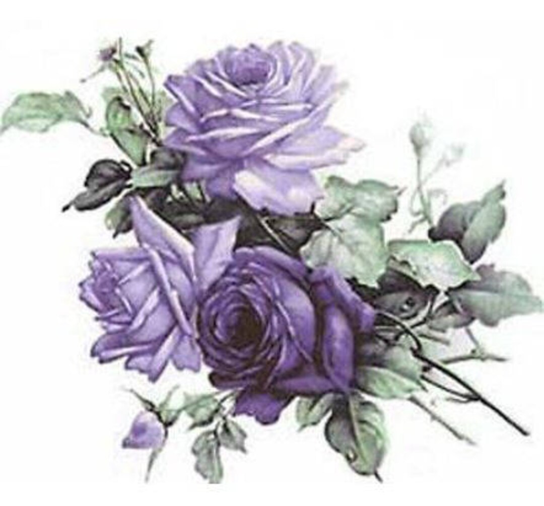 Vintage Best Cabbage Roses Shabby Decals vivid Violet - Etsy
