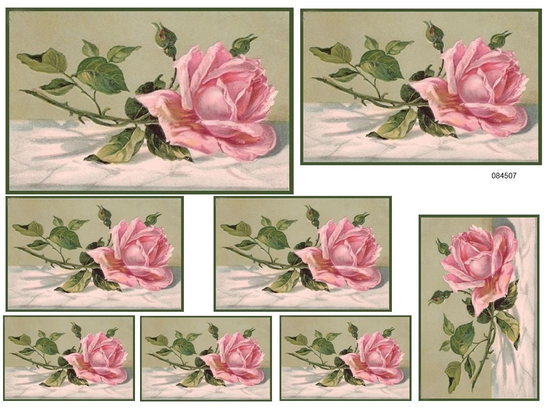 Vintage Klein Pink Rose Postcards Shabby Decals - Etsy