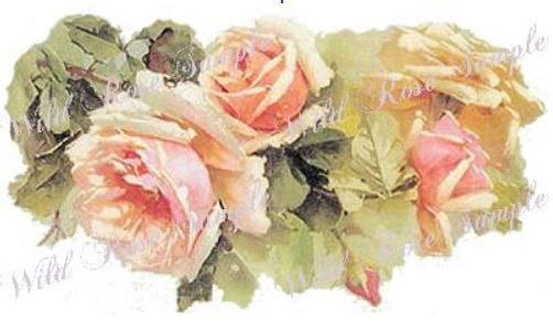 Vintage XL Tea Rose Swags Shabby Decals ~furniture Size~ - Etsy