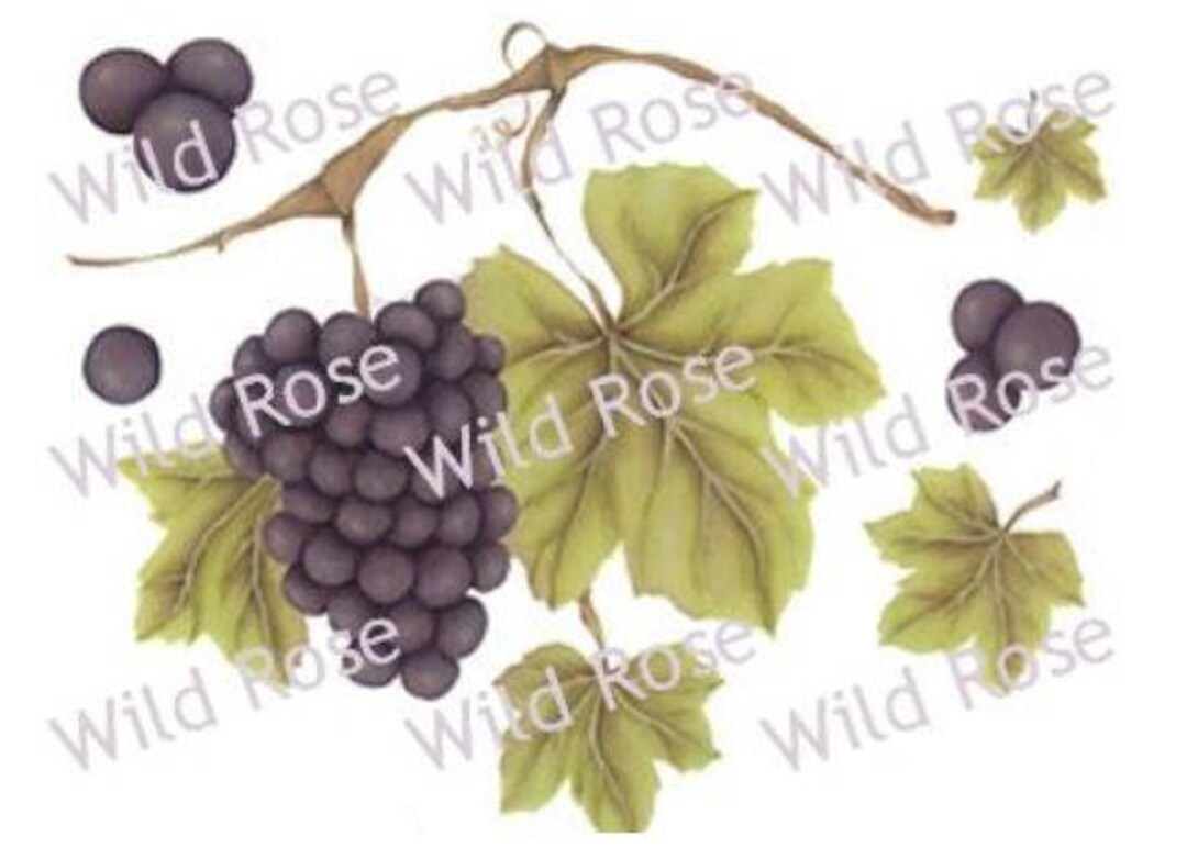 Vintage Grapes on the Vine Shabby Decals *country Chic* - Etsy