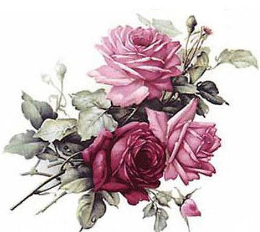 Vintage Best Cottage Roses Shabby Decals *smaller Size* - Etsy