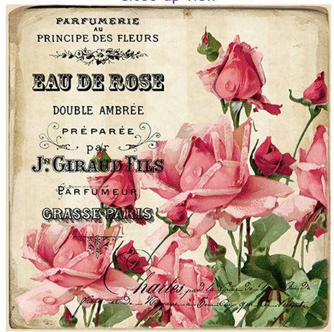 Vintage Gorgeous Pink Roses French Perfume Labels Shabby Decals - Etsy