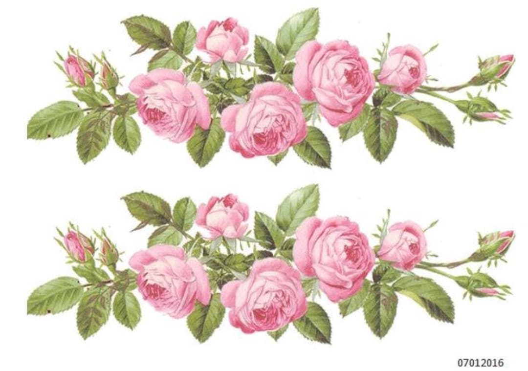 Vintage XXL Charming Pink Rose Swags Shabby Decals *furniture Size* - Etsy