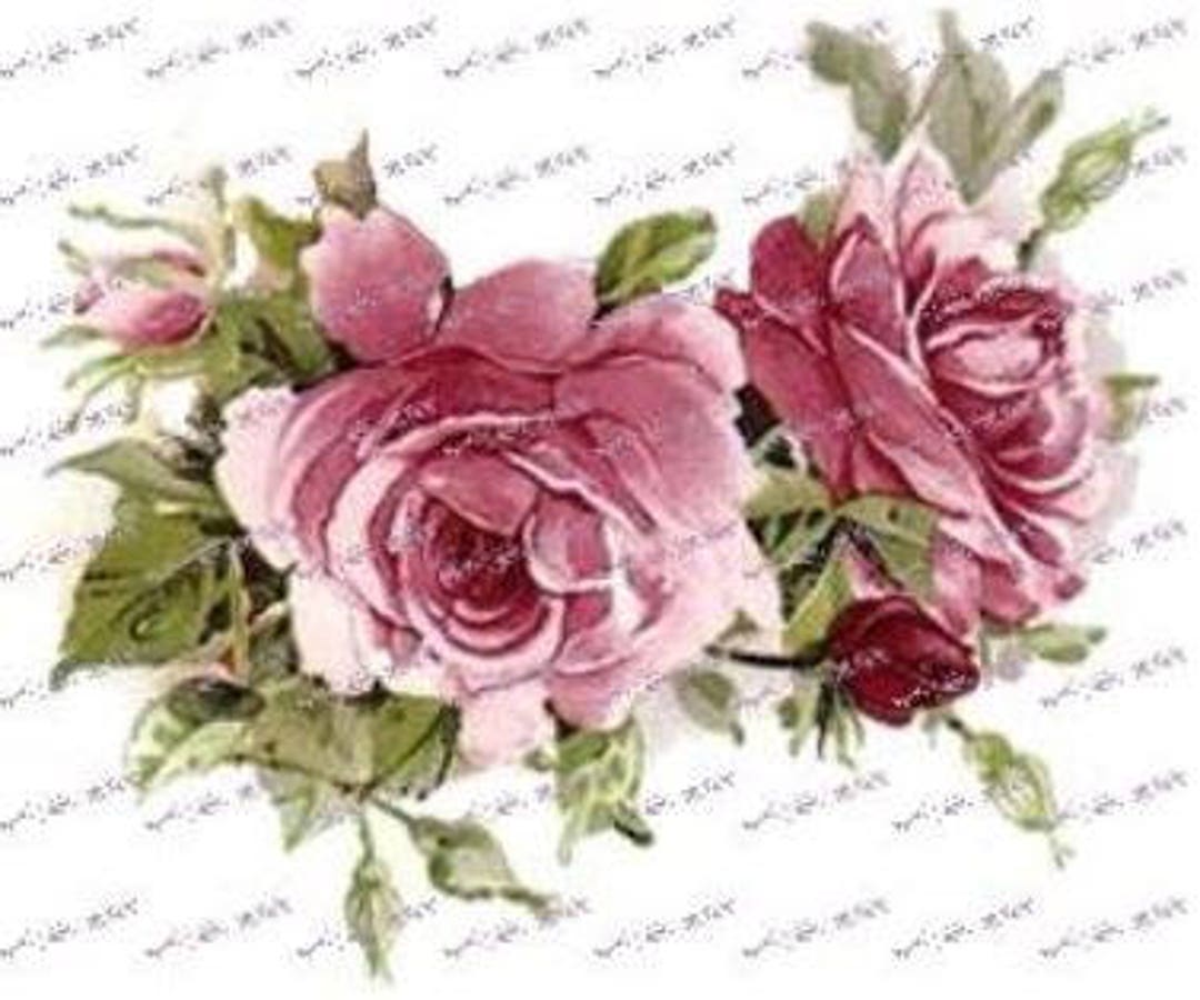 Vintage Amazing Pink Tea Roses & Swags Shabby Decals ~large~ - Etsy