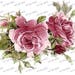 Vintage Amazing Pink Tea Roses & Swags Shabby Decals ~large~ - Etsy