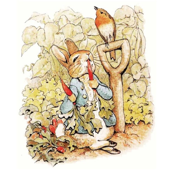 Peter Rabbit Wallpaper - Etsy