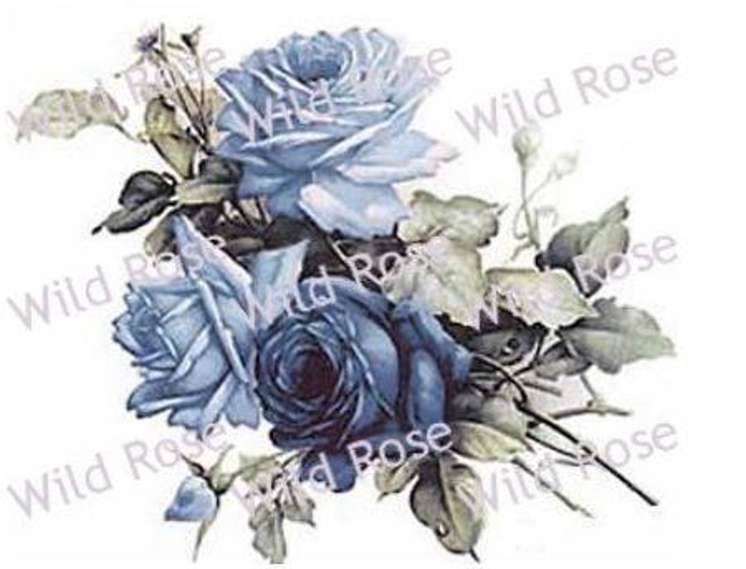 Vintage 20 Small Best Blue Cabbage Roses Shabby Decals - Etsy