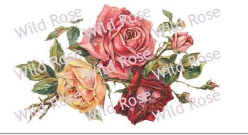 Vintage XL Shabby Triple Roses Bouquet Decals furniture Size - Etsy