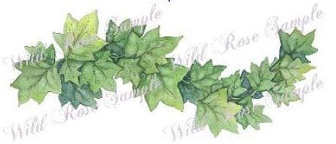 Vintage XL Lush Green Ivy Swags Shabby Decals ~furniture Size~ - Etsy