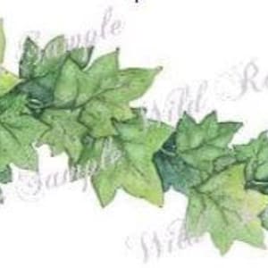 Vintage XL Lush Green Ivy Swags Shabby Decals ~furniture Size~ - Etsy