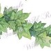 Vintage XL Lush Green Ivy Swags Shabby Decals ~furniture Size~ - Etsy