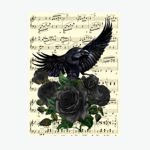 Dark Black Raven Set of 3 Printed on Antique 110+ Year Old Music Pages ...