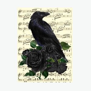 Dark Black Raven Set of 3 Printed on Antique 110+ Year Old Music Pages ...