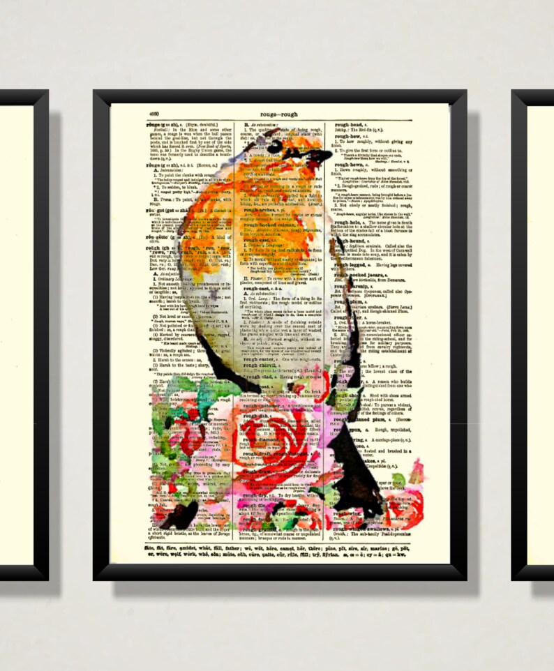 The Secret Garden Robin With Quote Printed on A 125 Year Old - Etsy