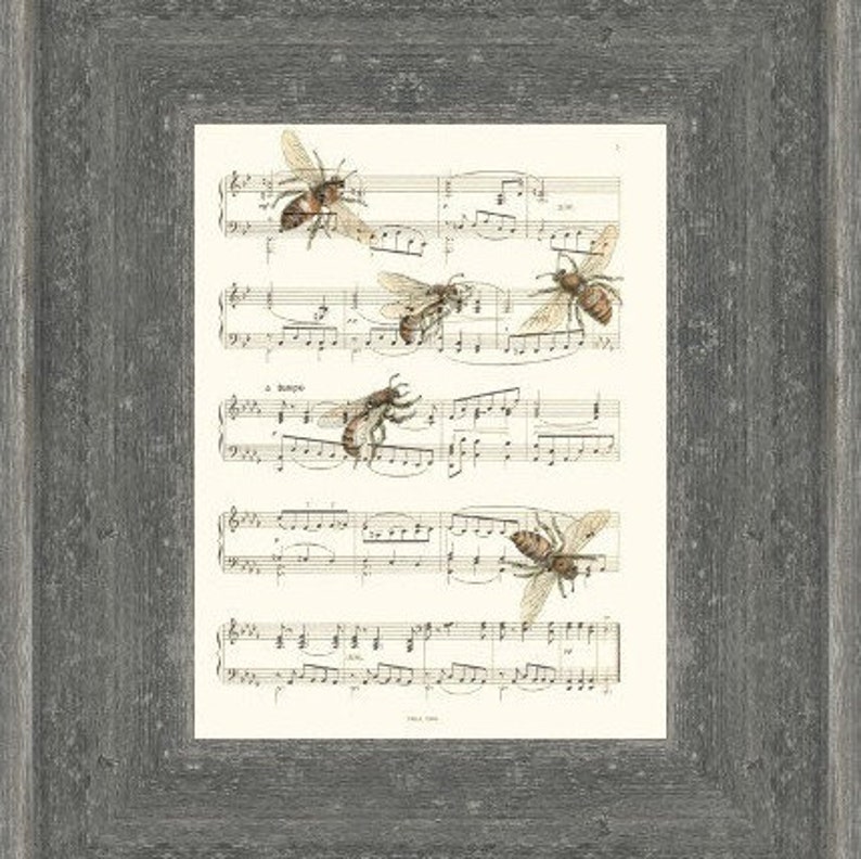 Bee Sheet Music Art Print on an Upcycled Music Shee - Etsy